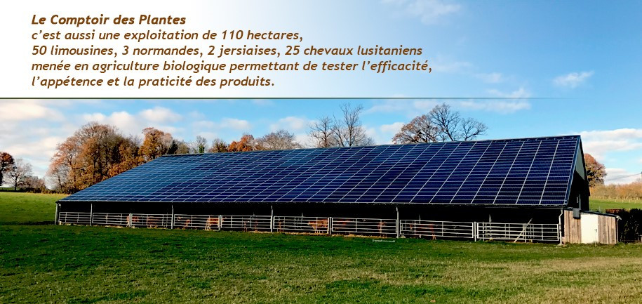 Comptoir des plantes : Conseils & Produits biologique pour l'élevage